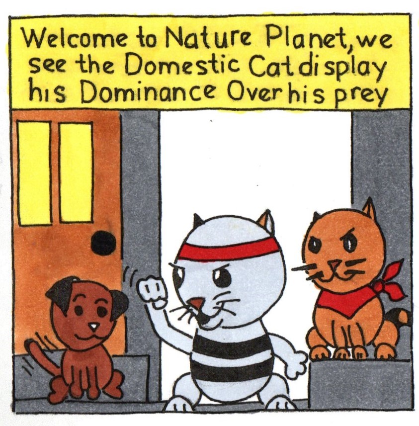 Tony & Bob Strip #3 – Slap Comics