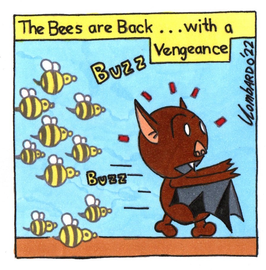 Sunday Comics – Slap Comics