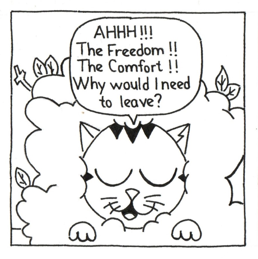 Mellie the Cat #46 – Slap Comics